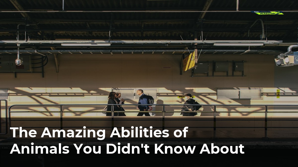 The Amazing Abilities of Animals You Didn't Know About