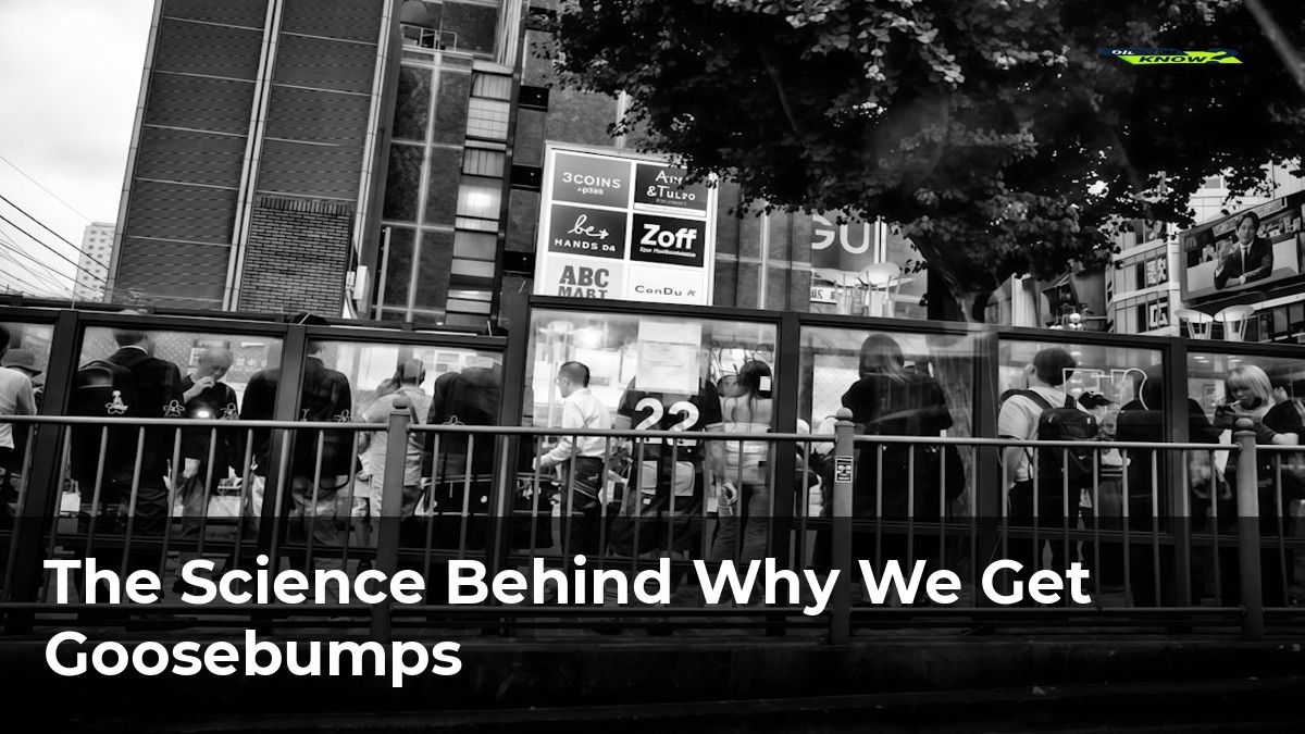 The Science Behind Why We Get Goosebumps