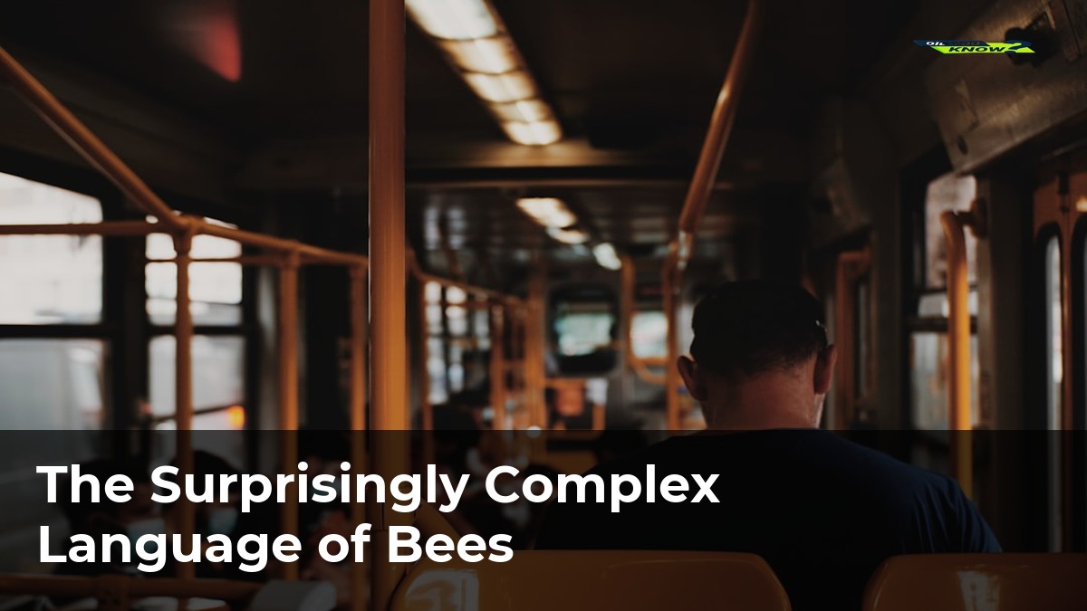 The Surprisingly Complex Language of Bees