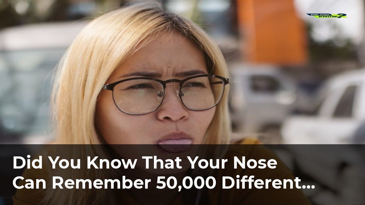 Did You Know That Your Nose Can Remember 50,000 Different Scents?