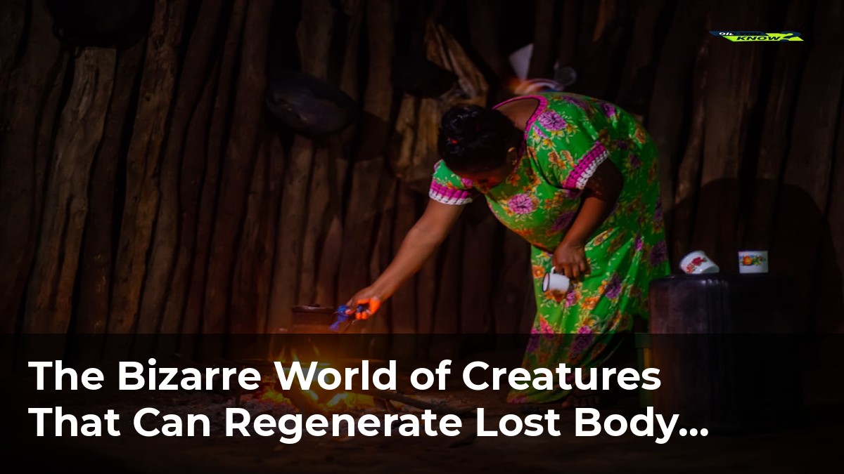 The Bizarre World of Creatures That Can Regenerate Lost Body Parts